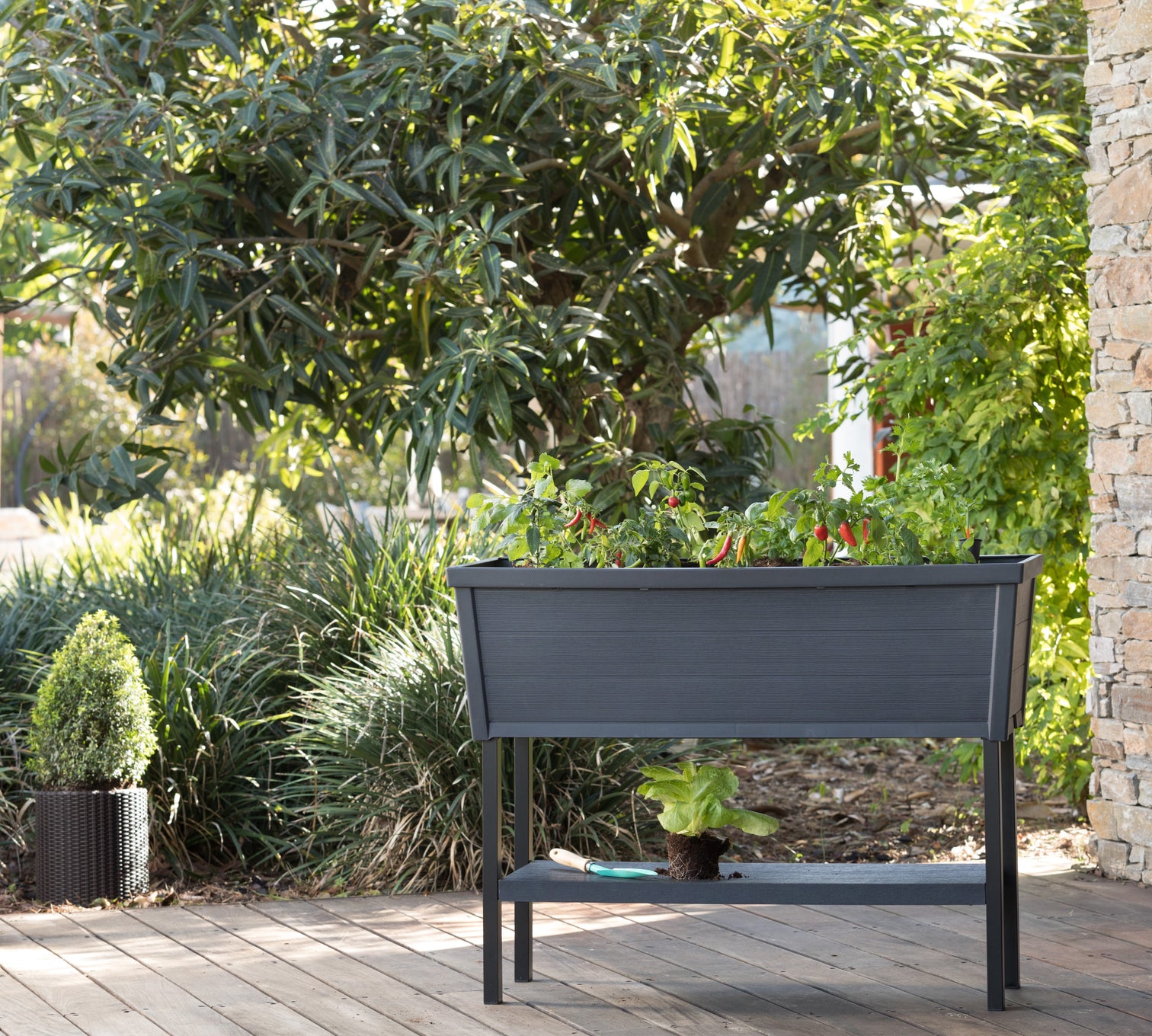 Raised Garden Beds - Shop All Garden Beds | Keter NZ – Keter New Zealand