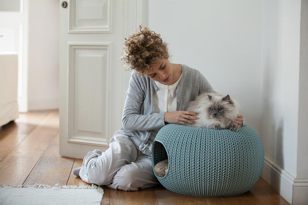 Pet accessories shop online | Keter NZ – Keter New Zealand