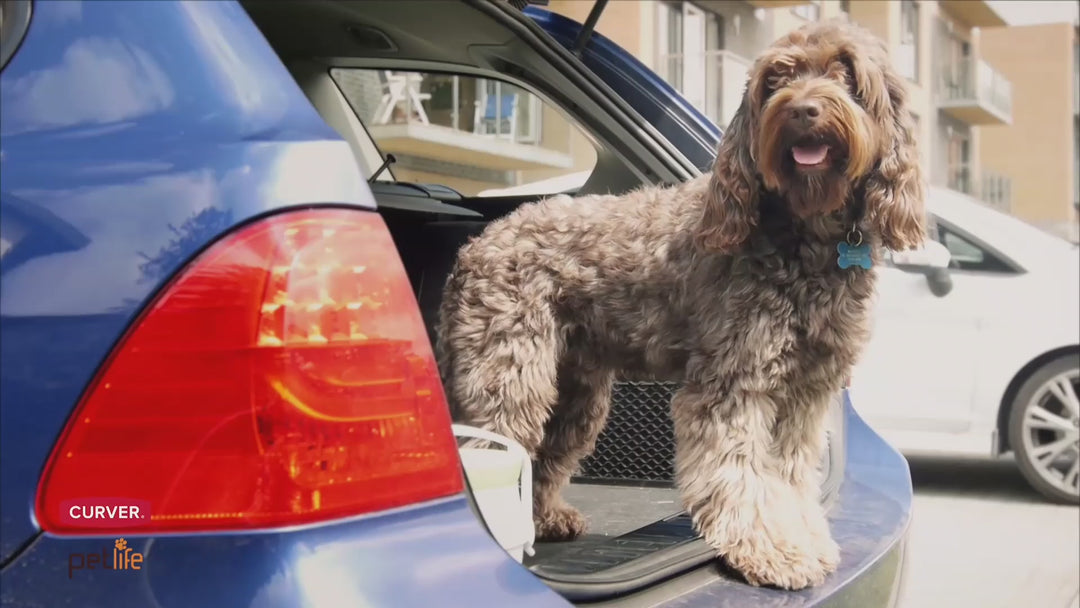 Pet accessories shop online | Keter NZ – Keter New Zealand