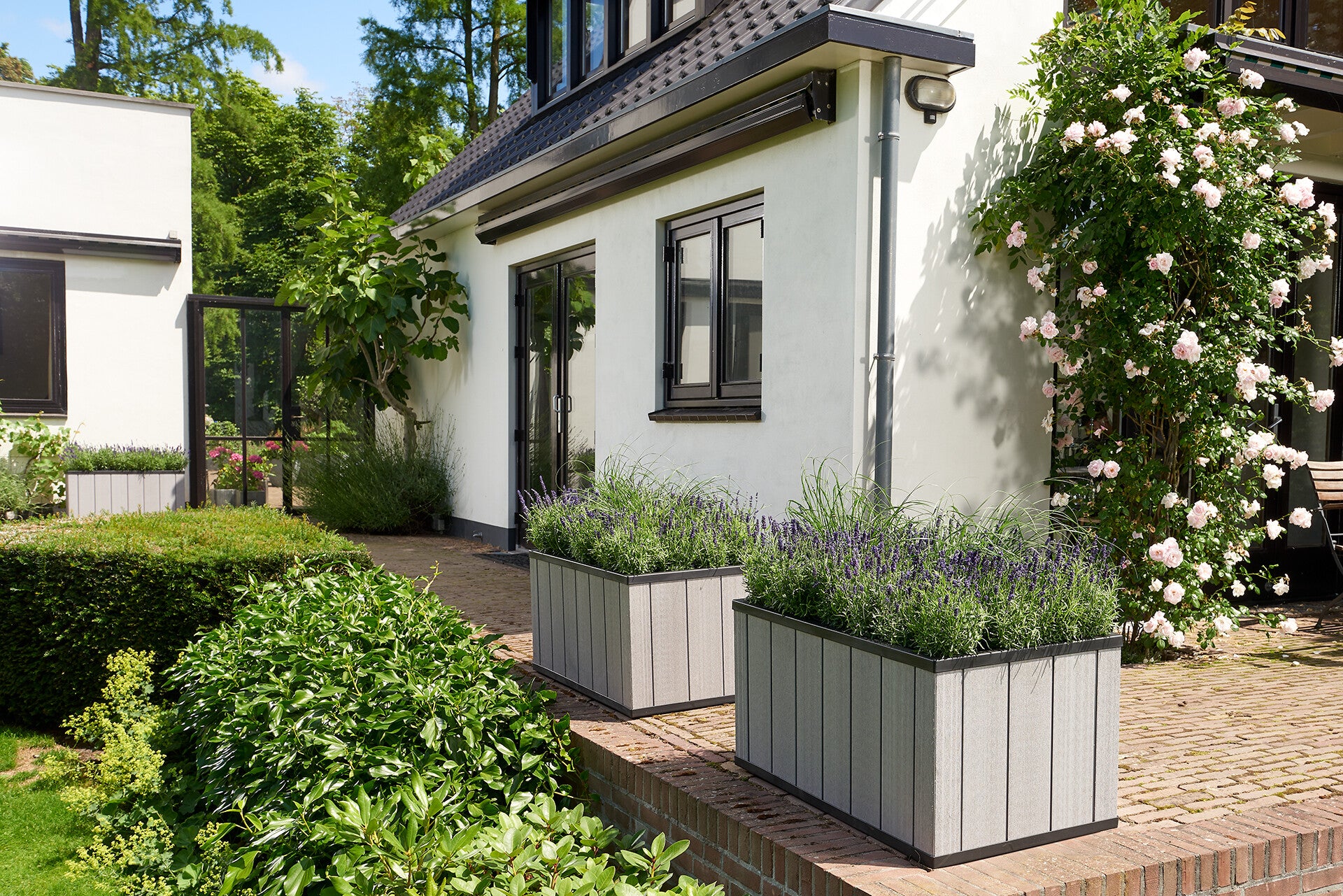 Planters – Keter New Zealand