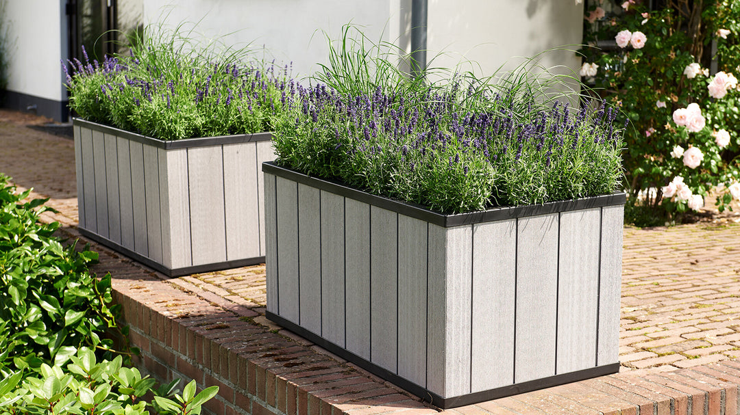 Sequoia Planter - Medium – Keter New Zealand